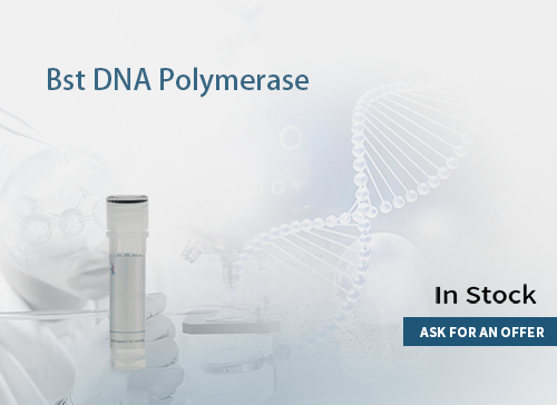 Hzymes Bst DNA Polymerase(8U/μL) - ChemicalBook India